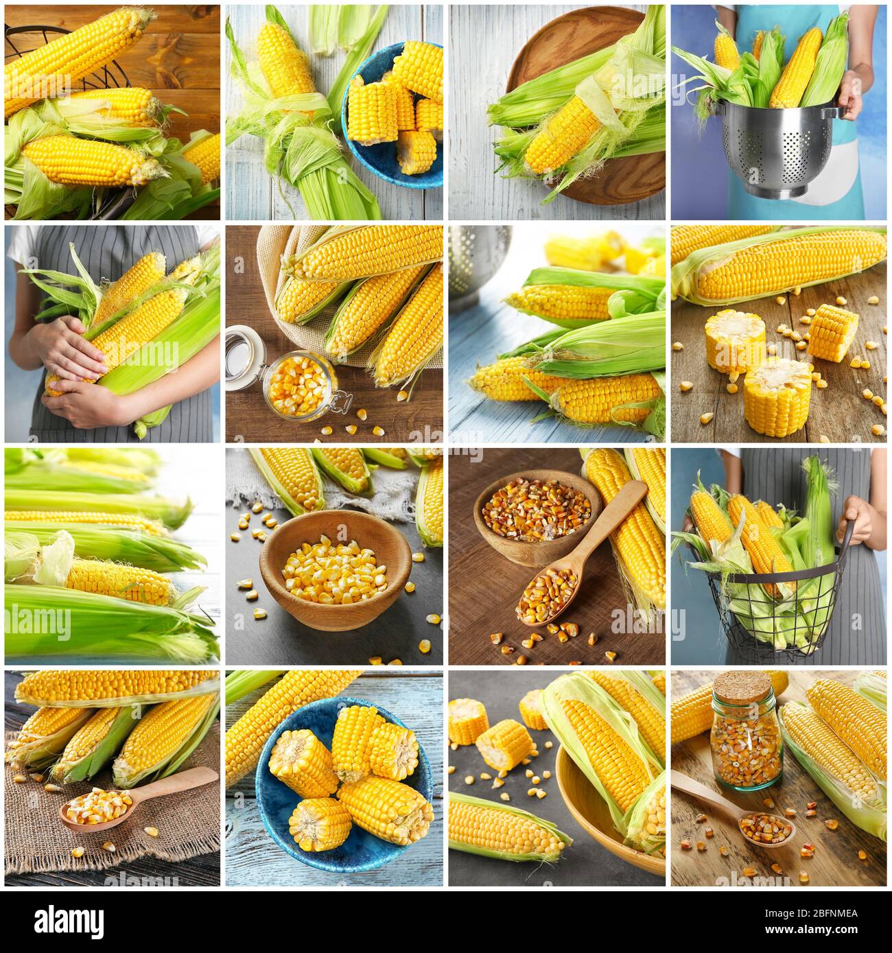 Ear collage Cut Out Stock Images & Pictures - Alamy