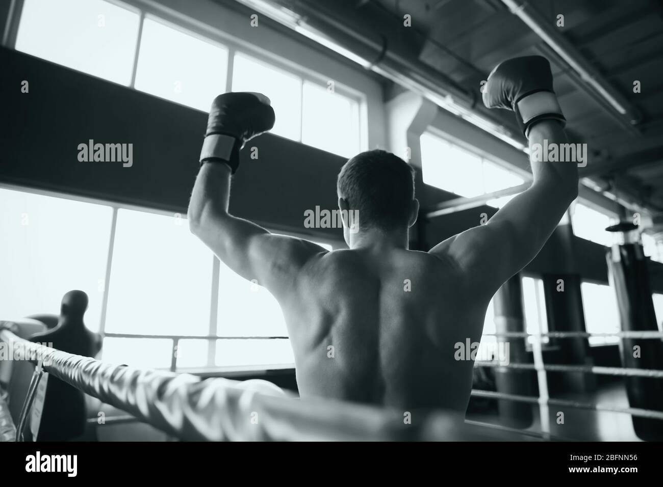 Boxing gloves in ring hi-res stock photography and images - Alamy