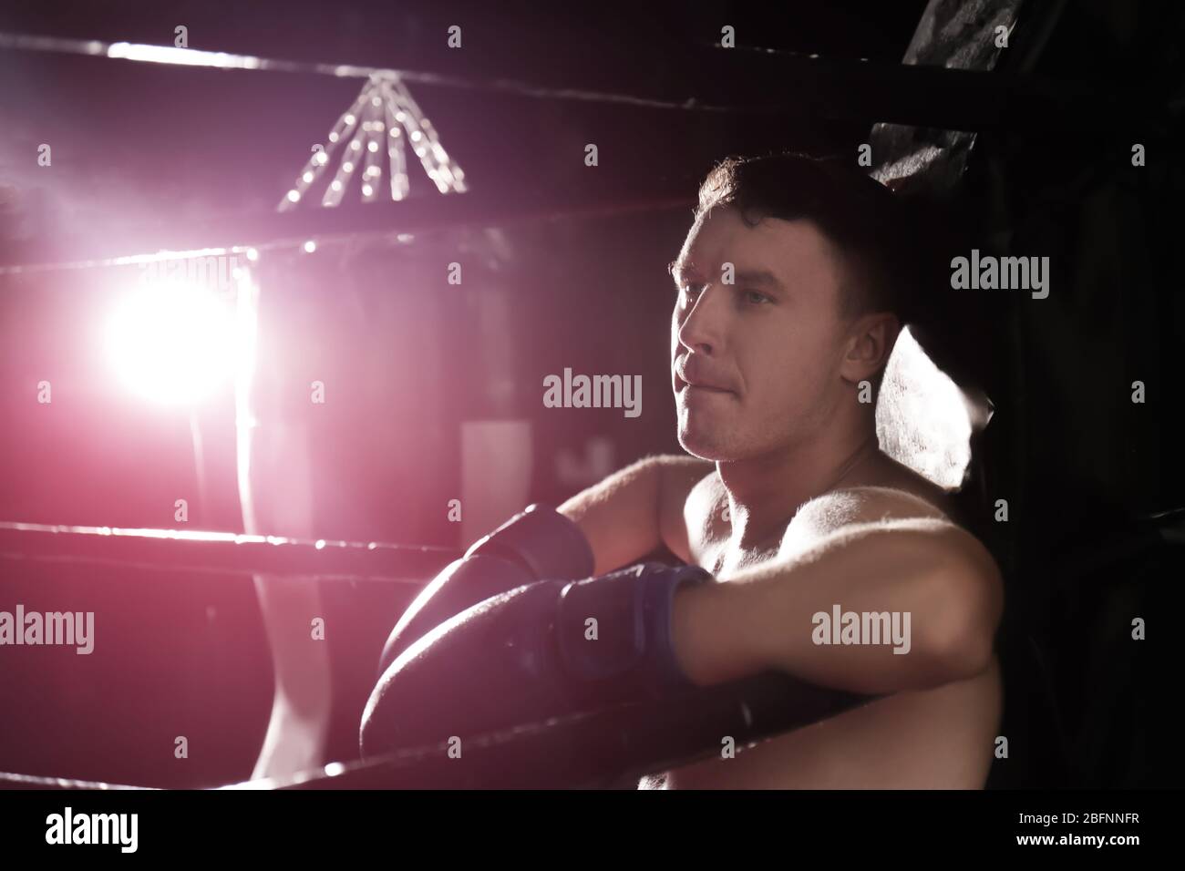 Professional boxer having break during training in ring Stock Photo - Alamy