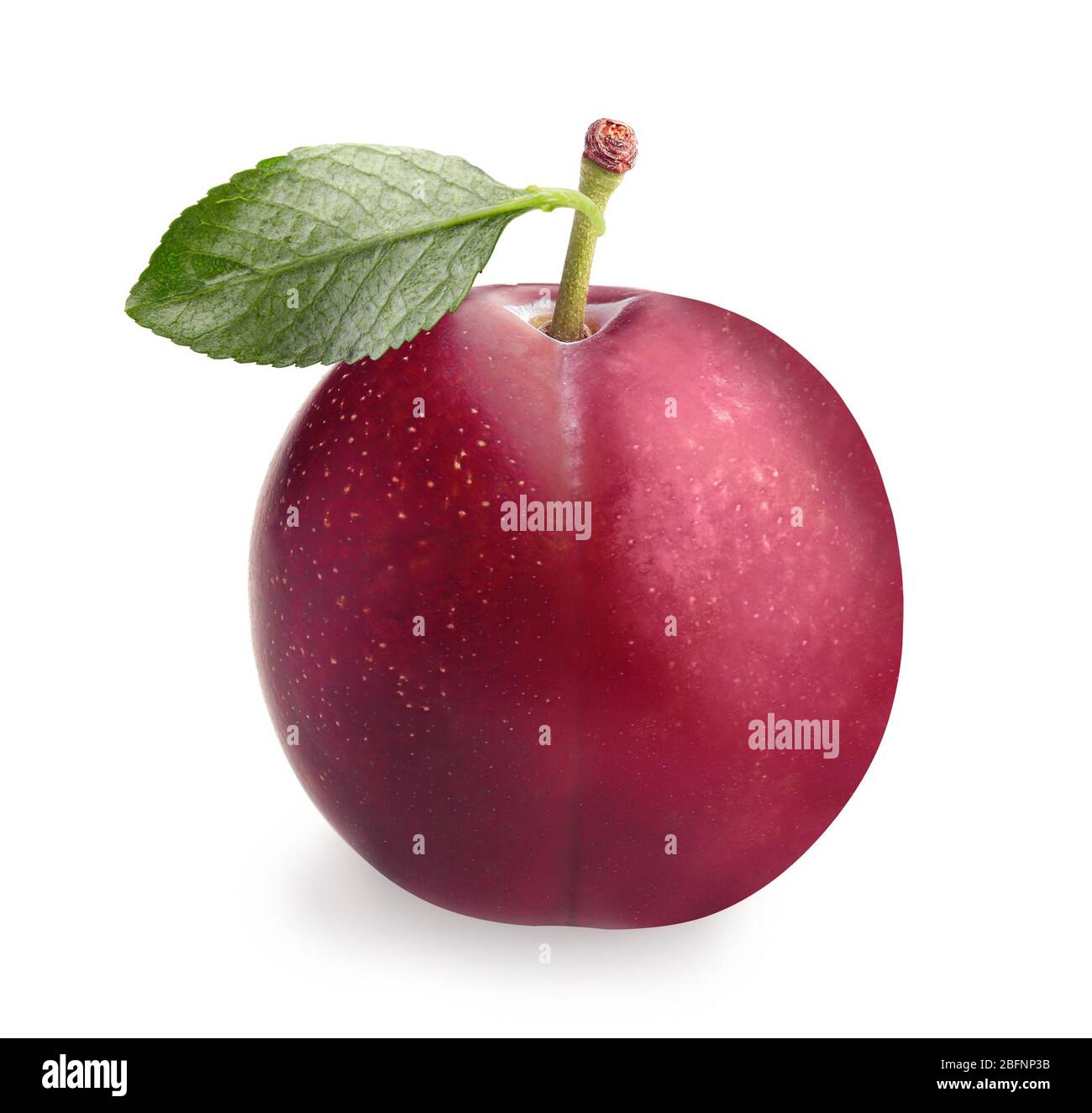 Ripe sweet plum on white background Stock Photo - Alamy