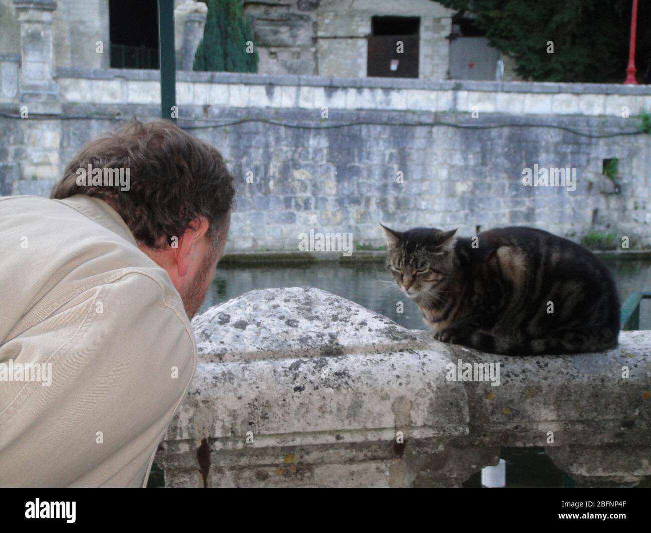 Man staring at cat hi-res stock photography and images - Alamy