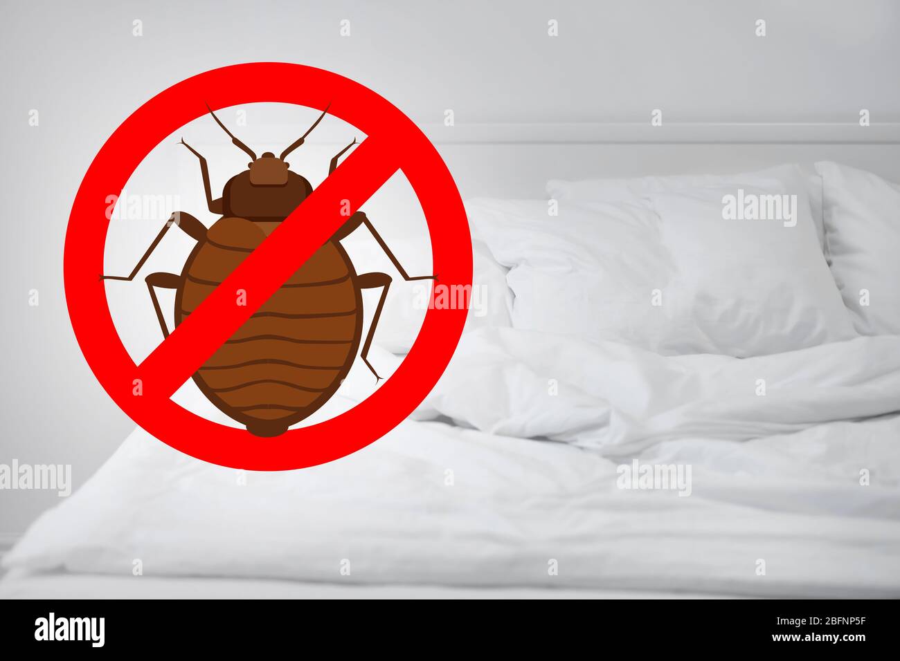 Stop bug sign and clean bed in room Stock Photo - Alamy