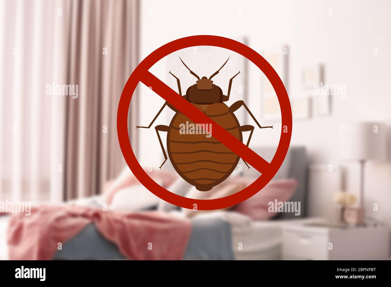 Stop bug sign and clean bed in room Stock Photo - Alamy