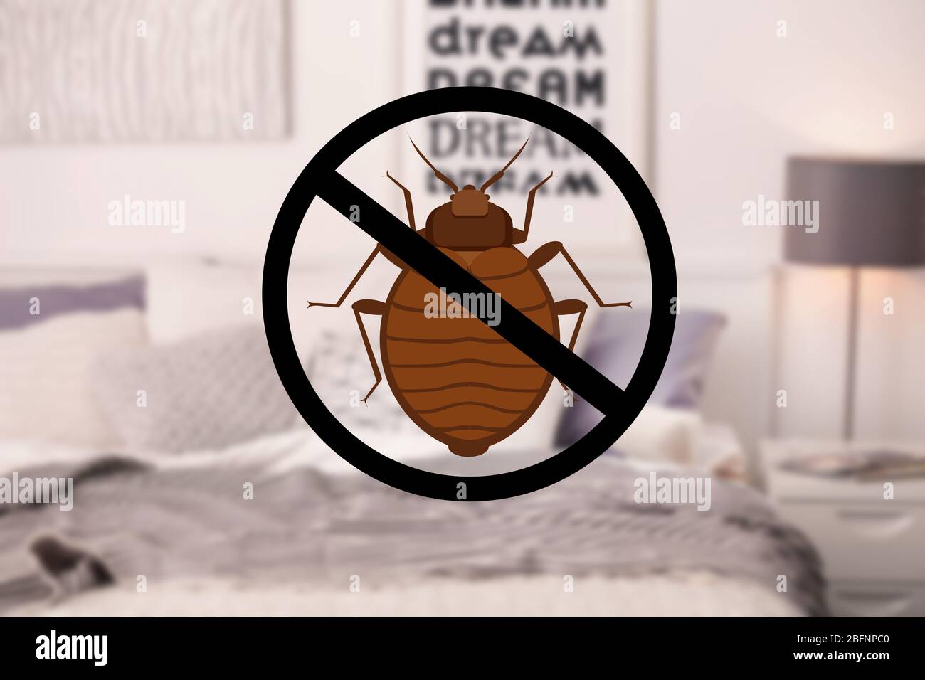 Stop bug sign and clean bed in room Stock Photo - Alamy