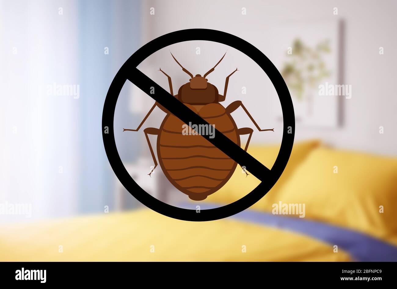 Stop bug sign and clean bed in room Stock Photo - Alamy