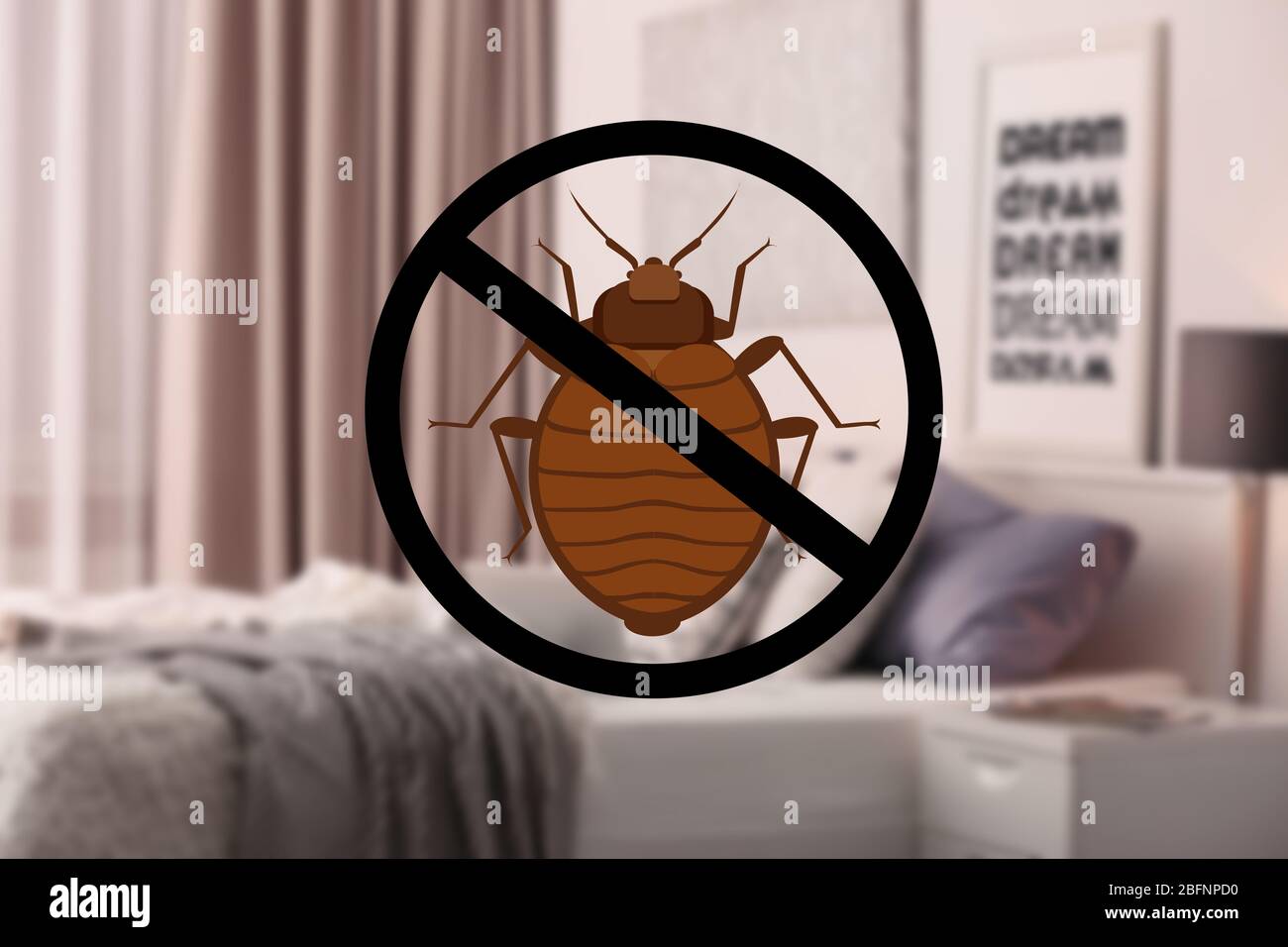 Stop bug sign and clean bed in room Stock Photo - Alamy