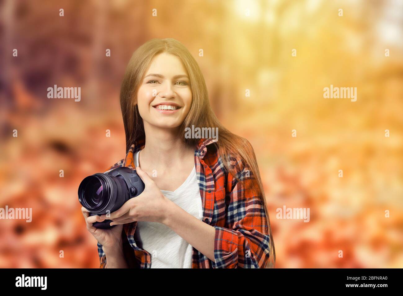 Professional photography fall tree hi-res stock photography and images ...