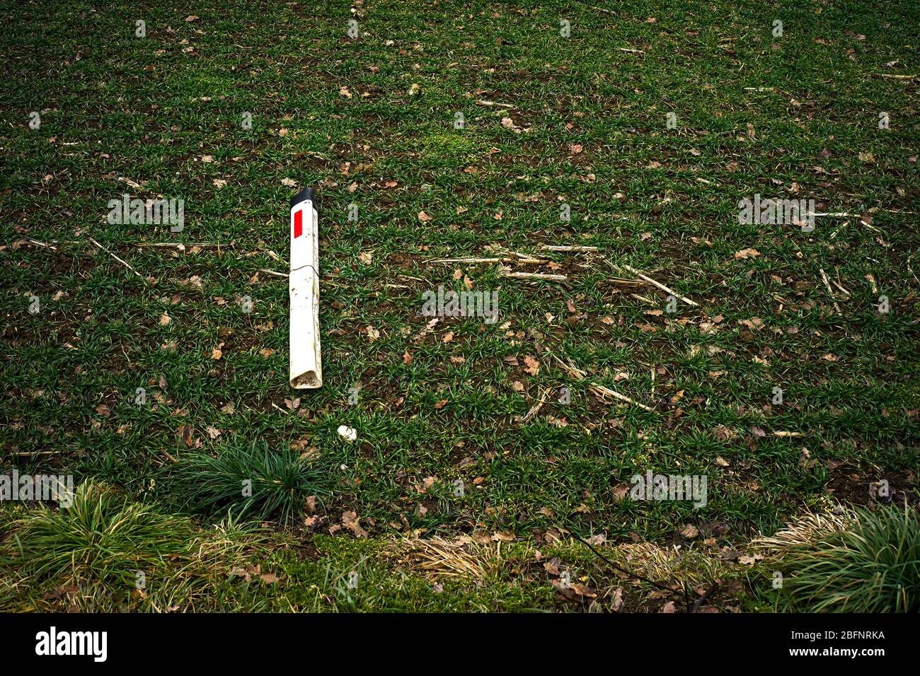 Black and white plastic roadside pole being hit by a car Stock Photo ...