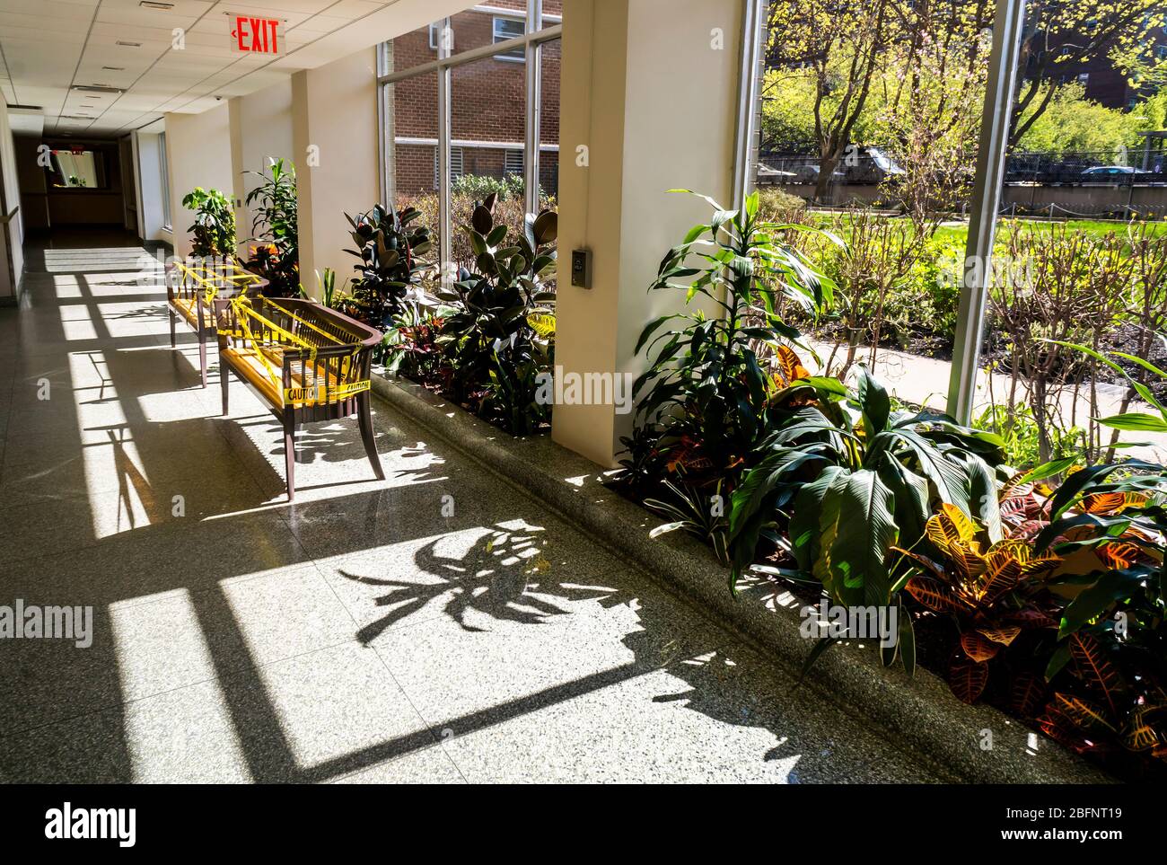 Multiple benches hi-res stock photography and images - Alamy