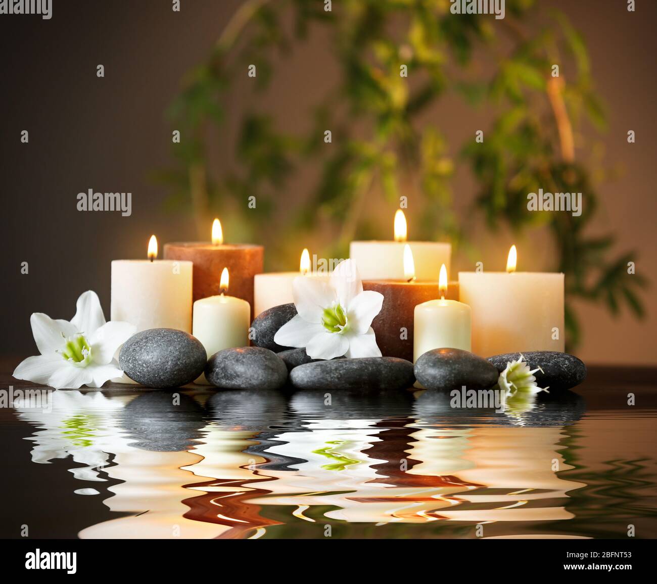 Beautiful spa composition with reflection on water surface Stock Photo ...