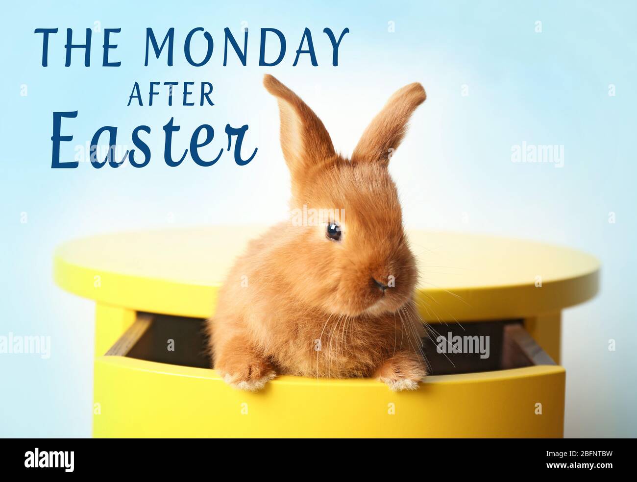 Text THE MONDAY AFTER EASTER and cute bunny sitting in table drawer on ...