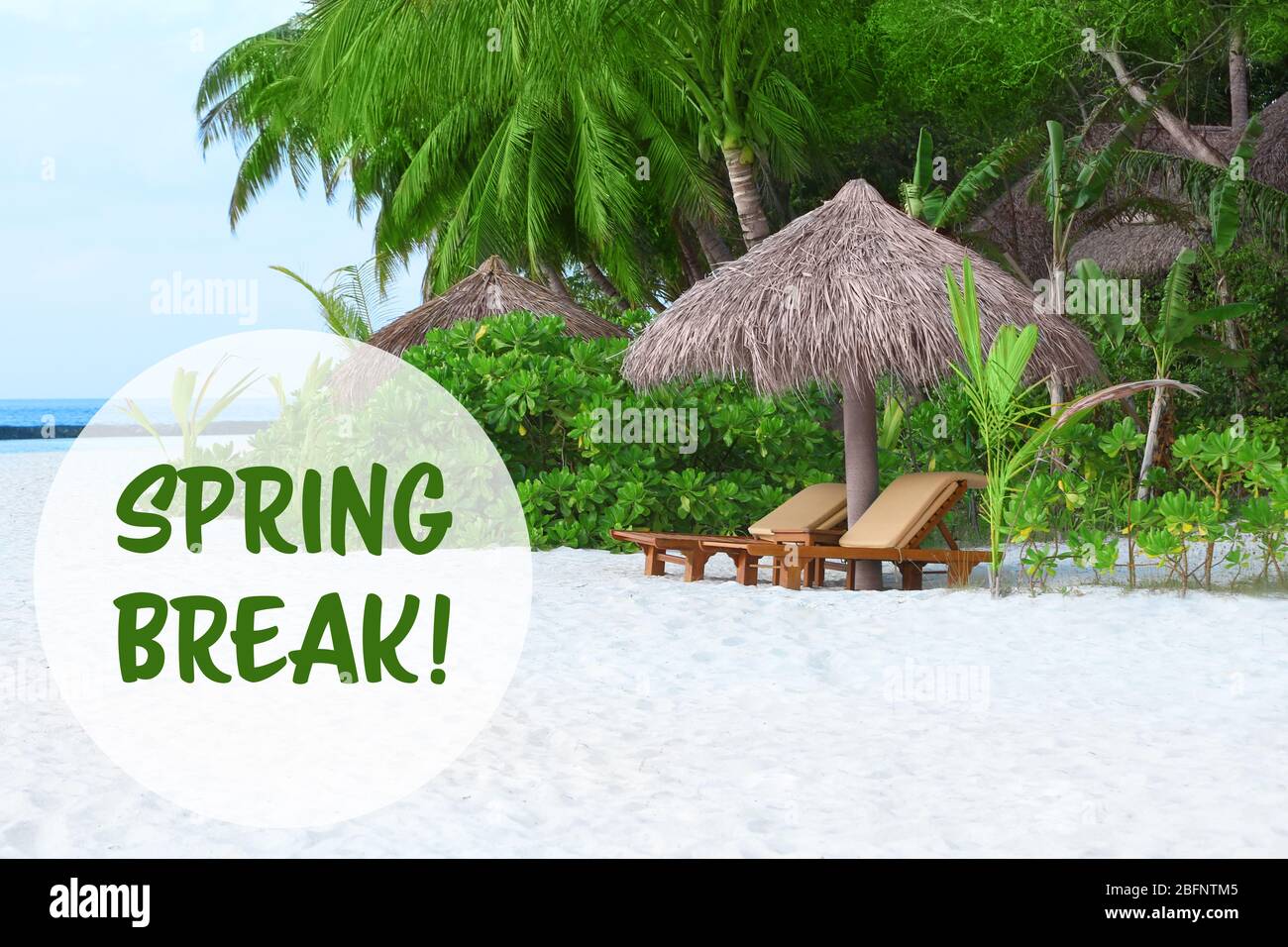 Spring break concept. Deck-chairs on the beach under palm trees Stock ...