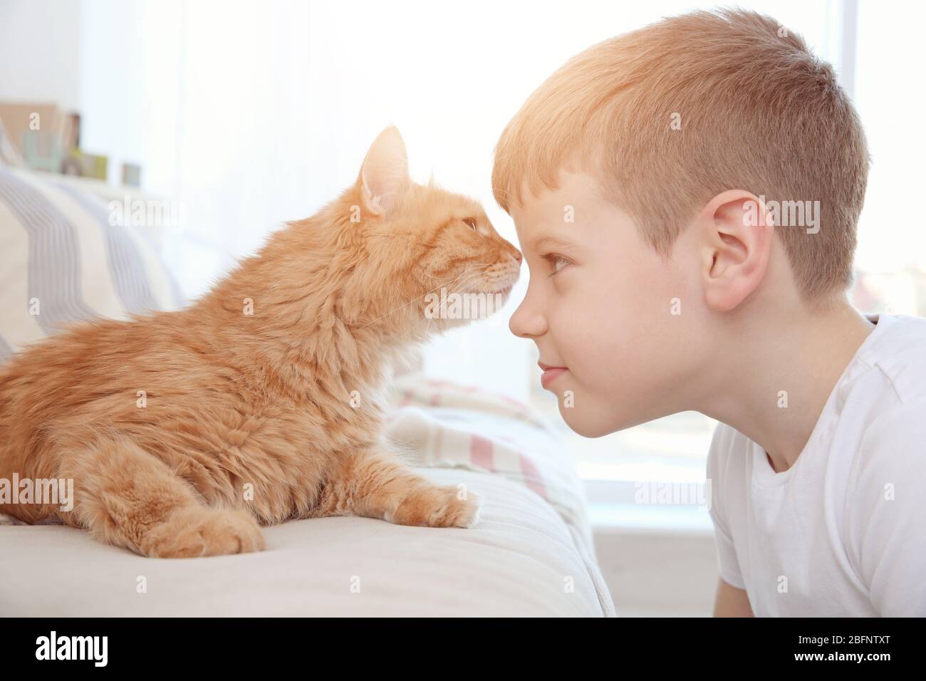 Little boy with cute cat at home Stock Photo - Alamy