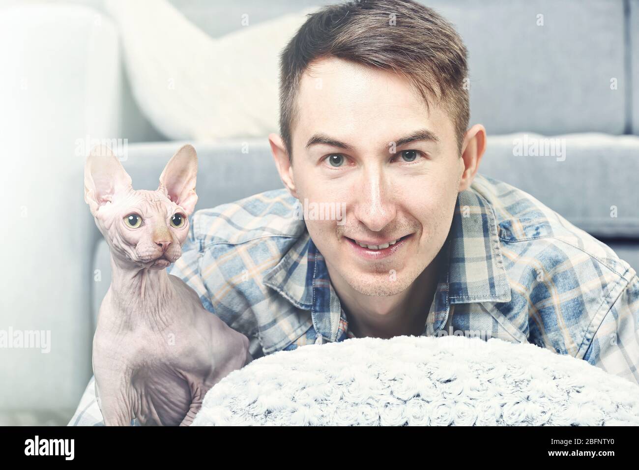 Young feline companions hi-res stock photography and images - Alamy