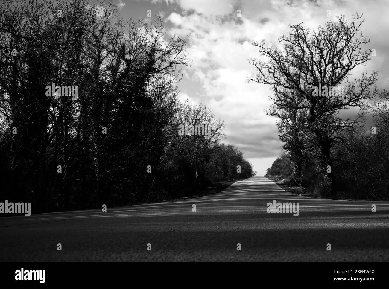 Dramatic empty road scene with trees Stock Photo - Alamy