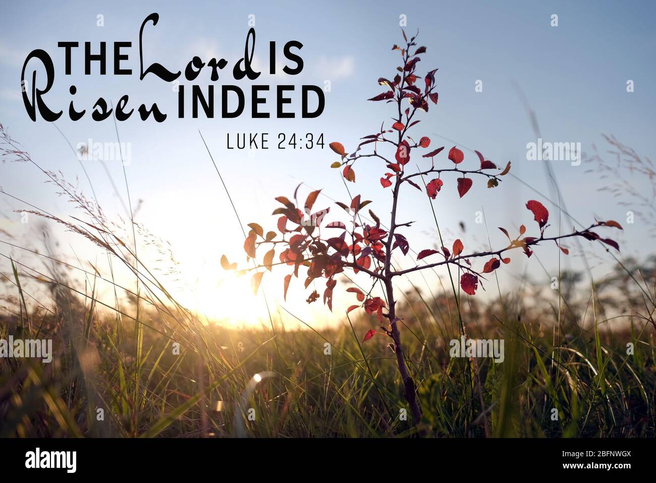 Religious verse on landscape background. Easter celebration concept ...