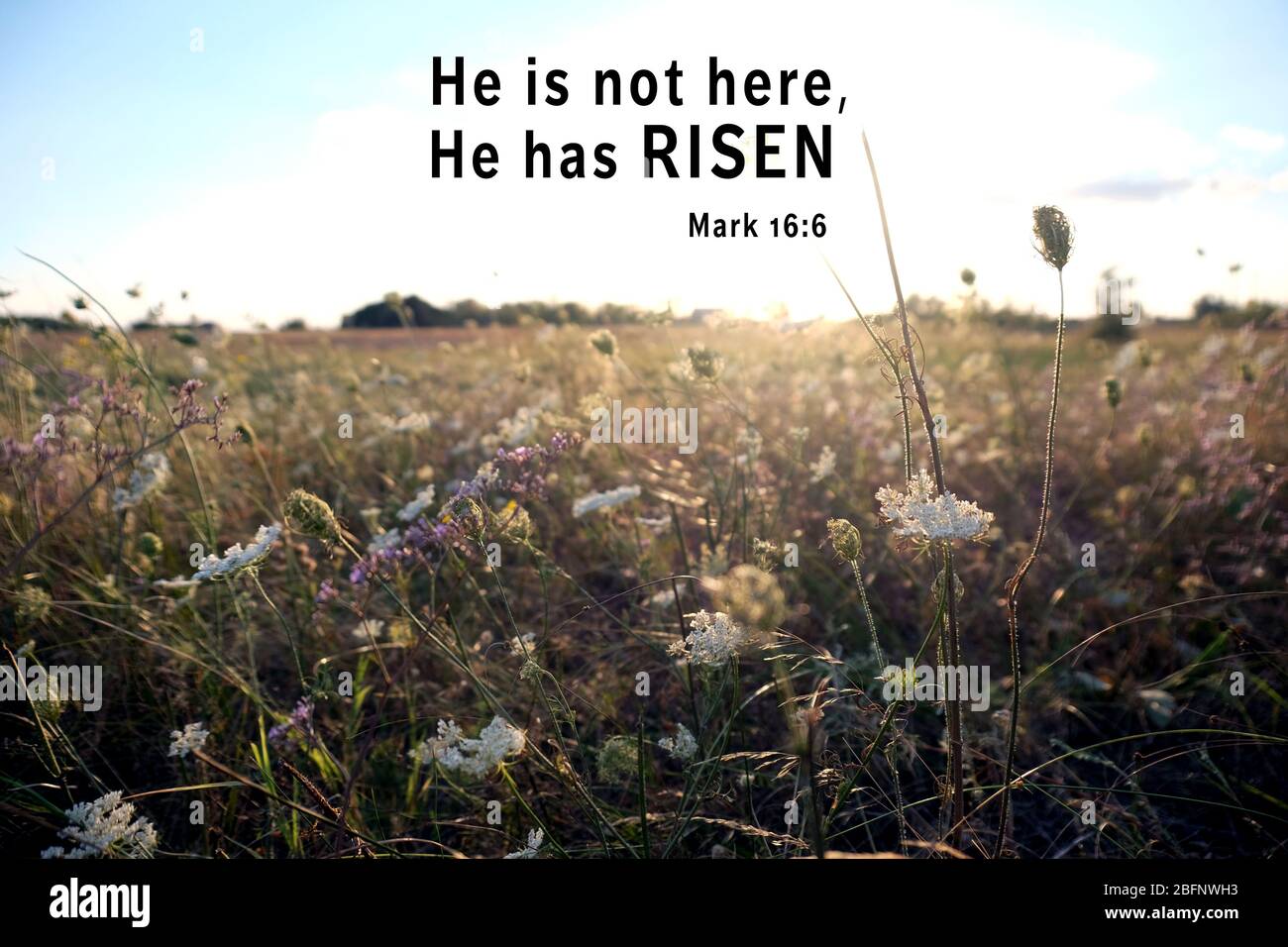 Religious verse on landscape background. Easter celebration concept ...