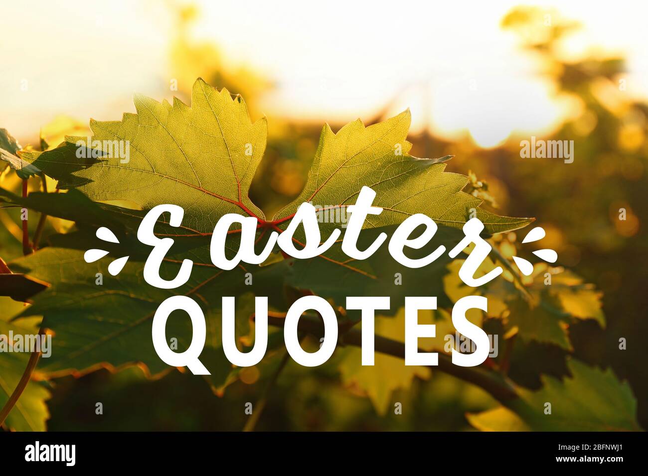 Text EASTER QUOTES on grape leaves background Stock Photo - Alamy
