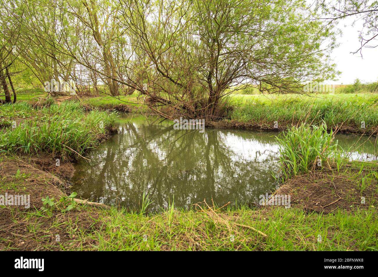 Quiet river bank scene Stock Photo - Alamy