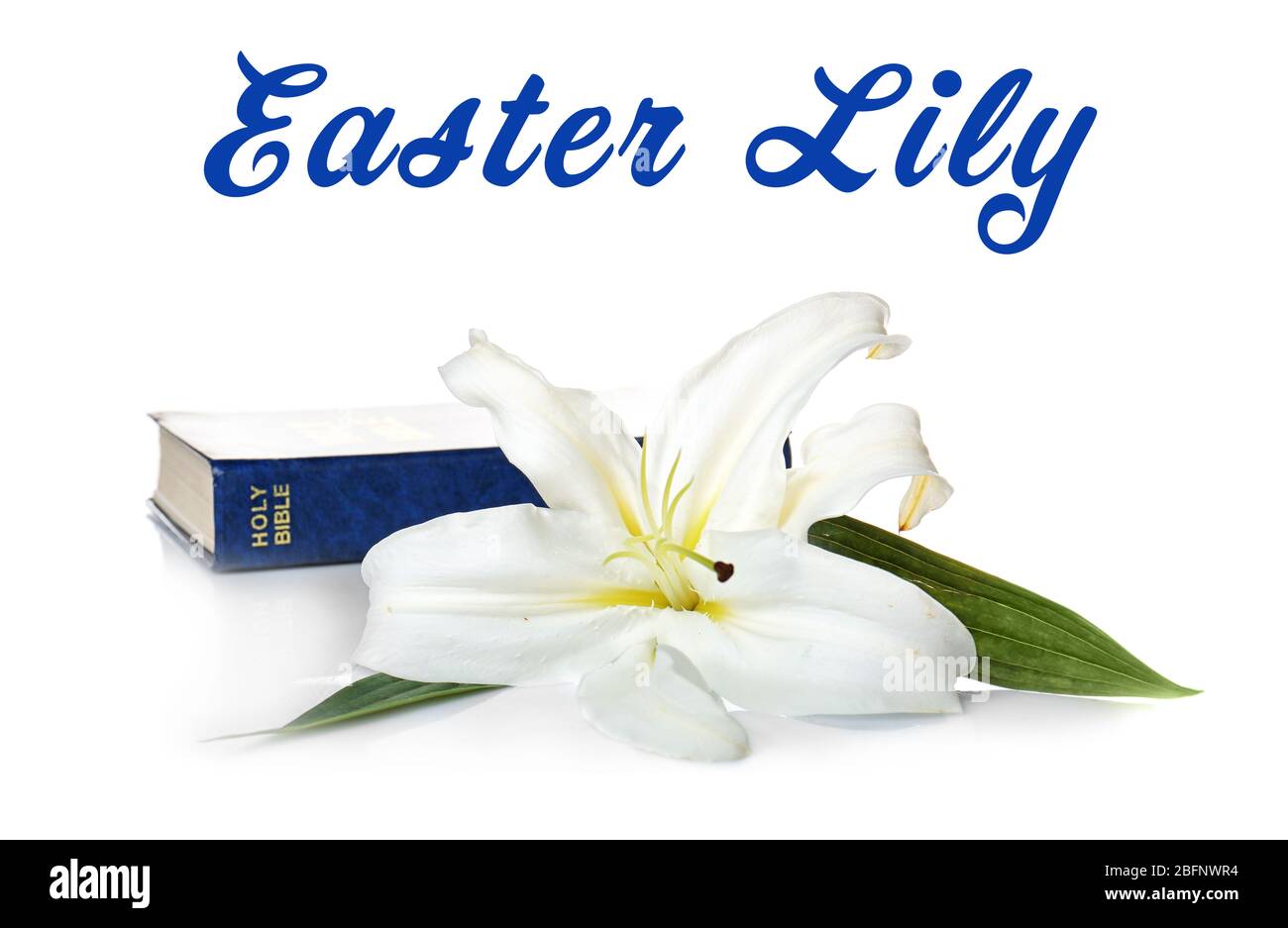 Easter lily and Holy Bible on white background Stock Photo - Alamy