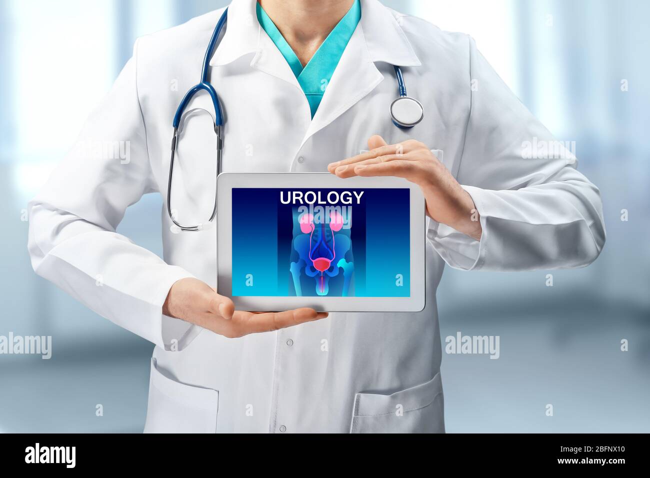 Doctor with tablet in hands. Urinary system and word UROLOGY on screen ...