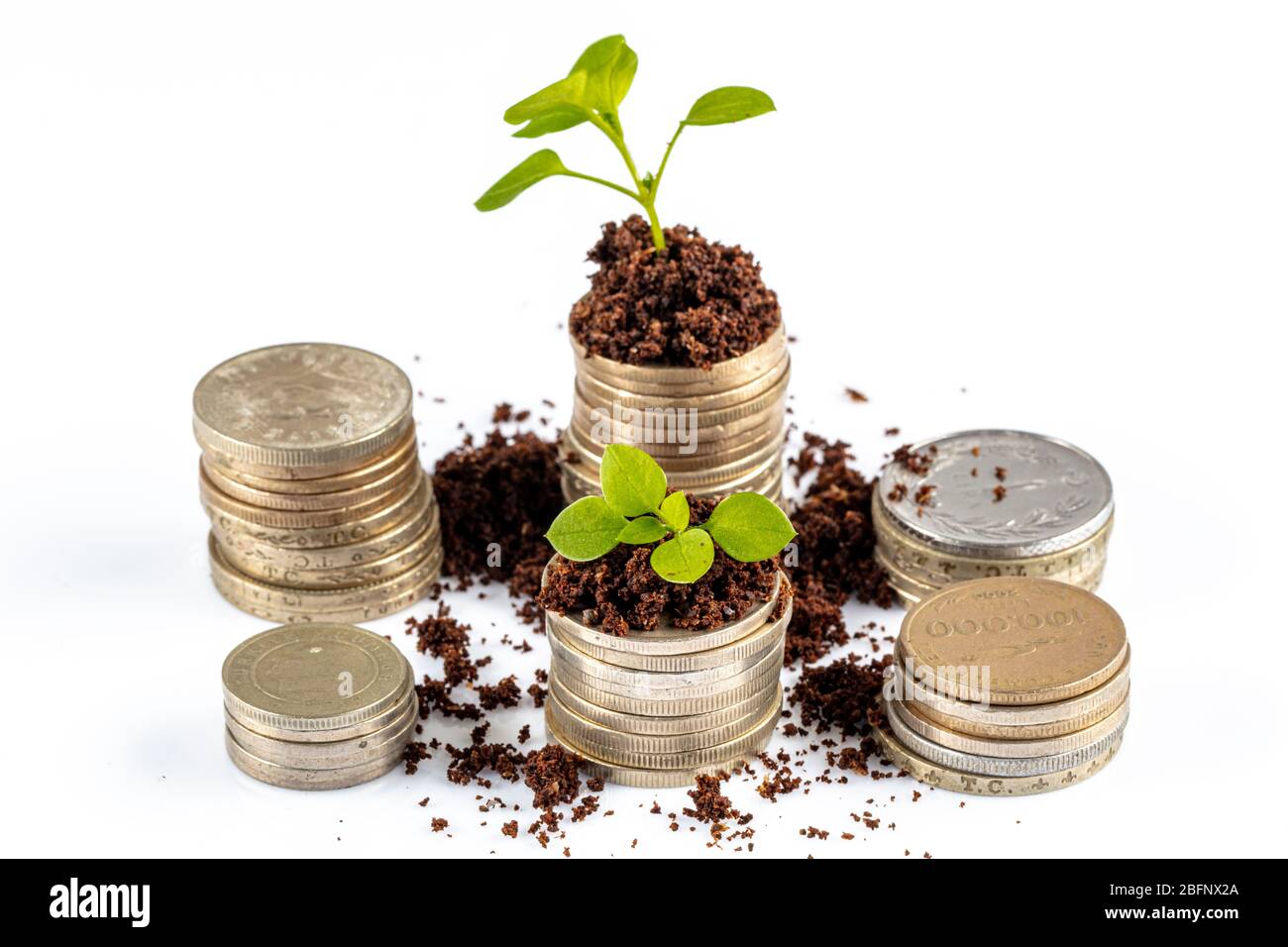 Money growing plant step with deposit coin in bank concept, Financial ...
