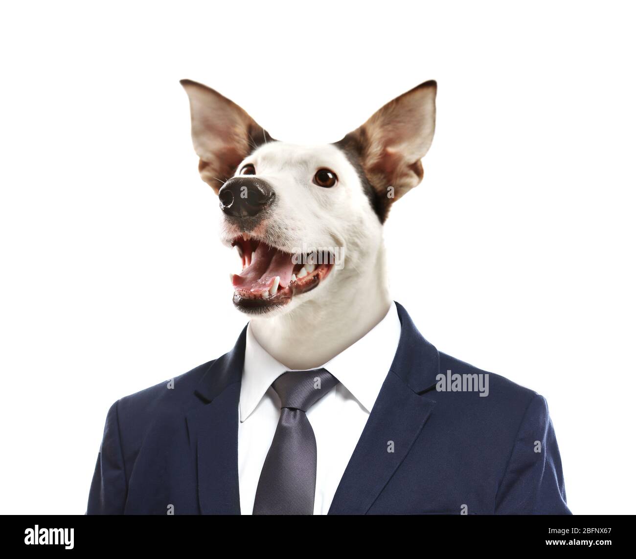 Head clerk Cut Out Stock Images & Pictures - Alamy