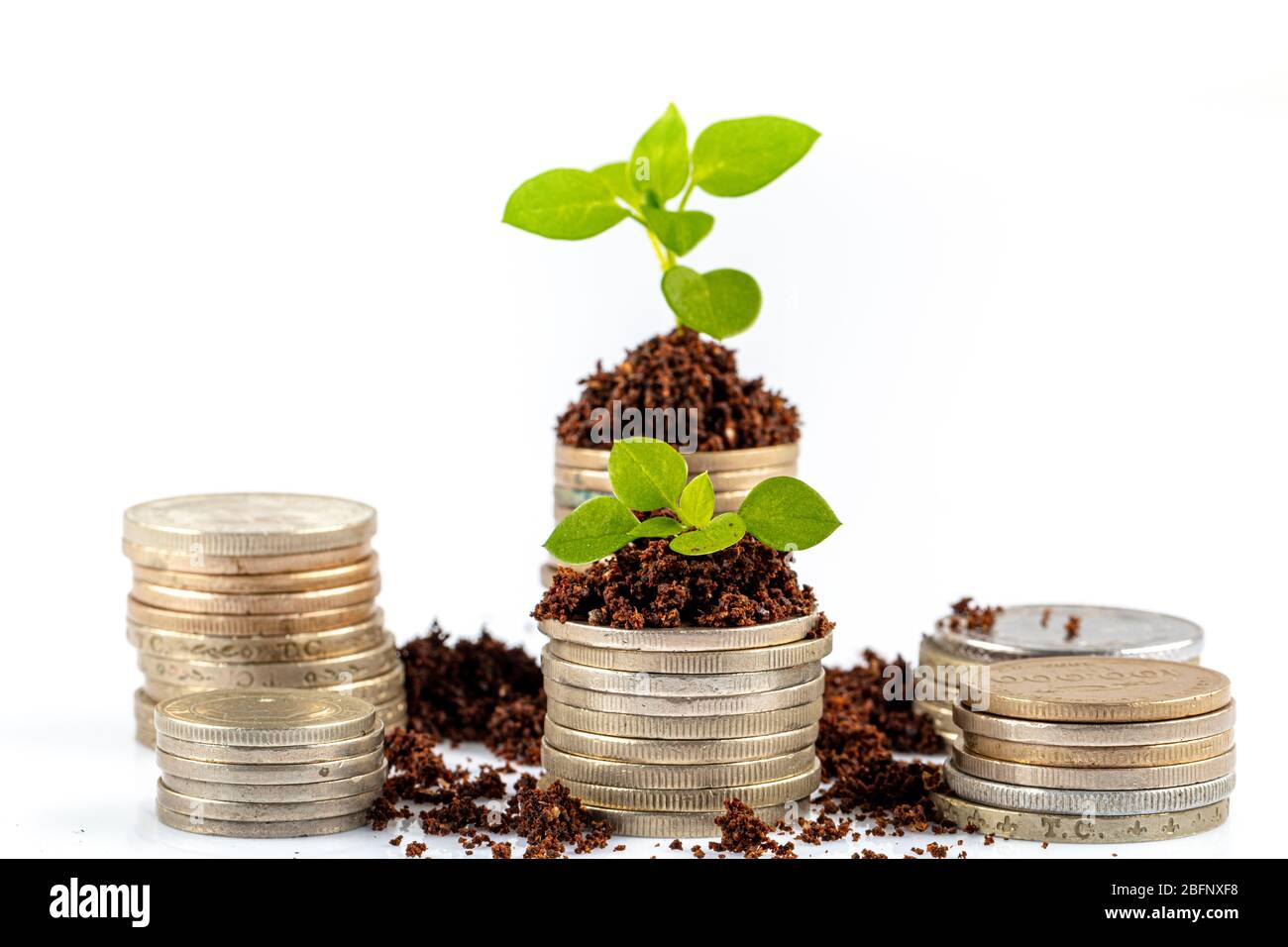 Money growing plant step with deposit coin in bank concept, Financial ...