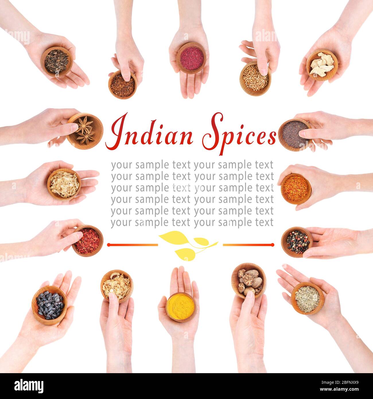 Female hands holding bowls with natural Indian spices on white ...