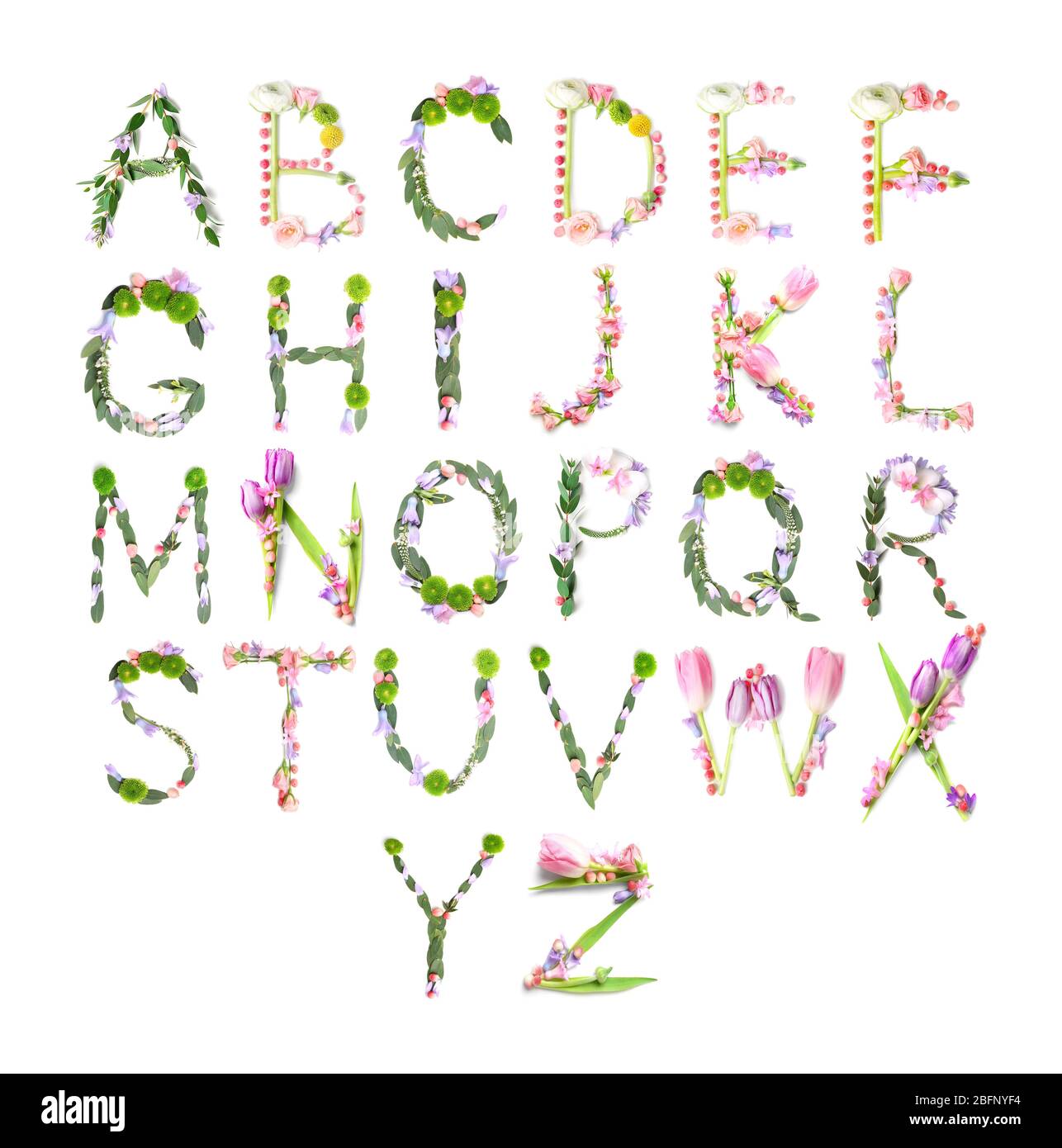 Alphabet made of beautiful flowers on white background Stock Photo - Alamy