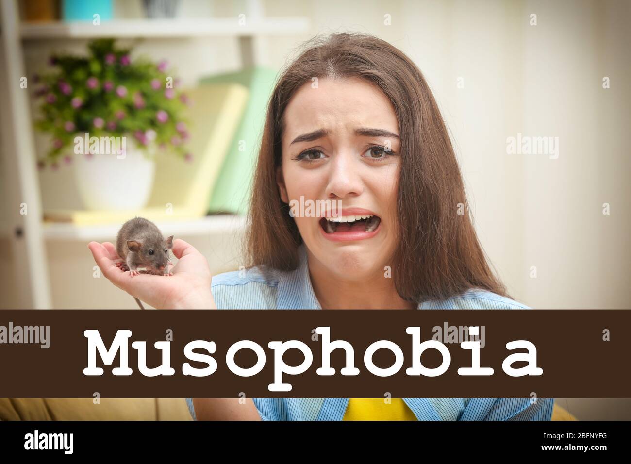 Terrified woman with mouse at home. Musophobia concept Stock Photo - Alamy