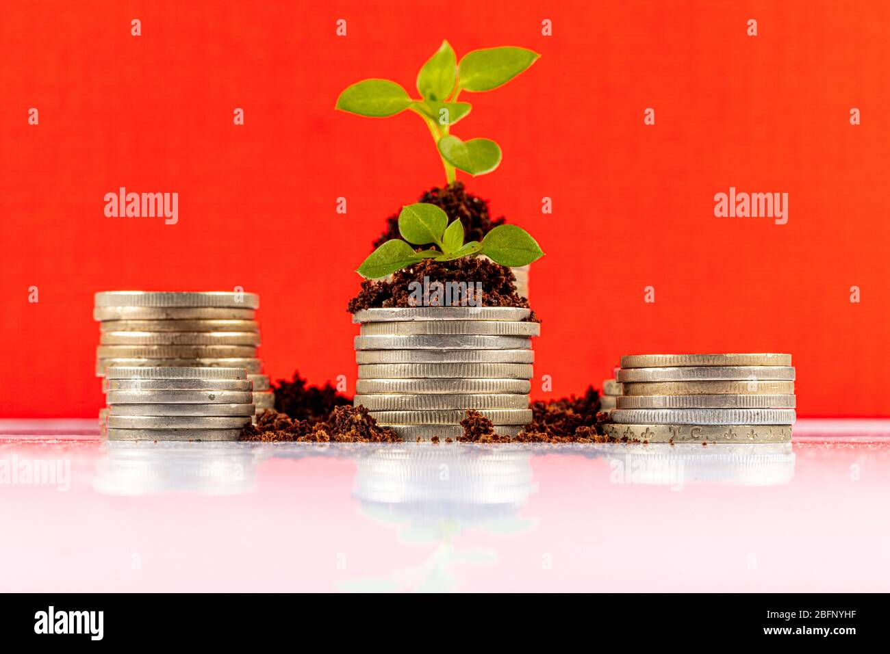 Money growing plant step with deposit coin in bank concept, Financial ...