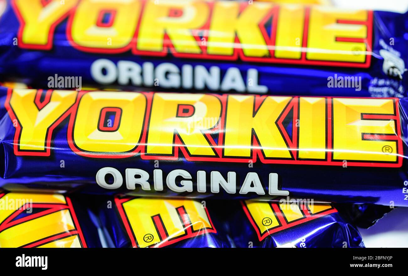 close up of nestle yorkie bar Stock Photo - Alamy