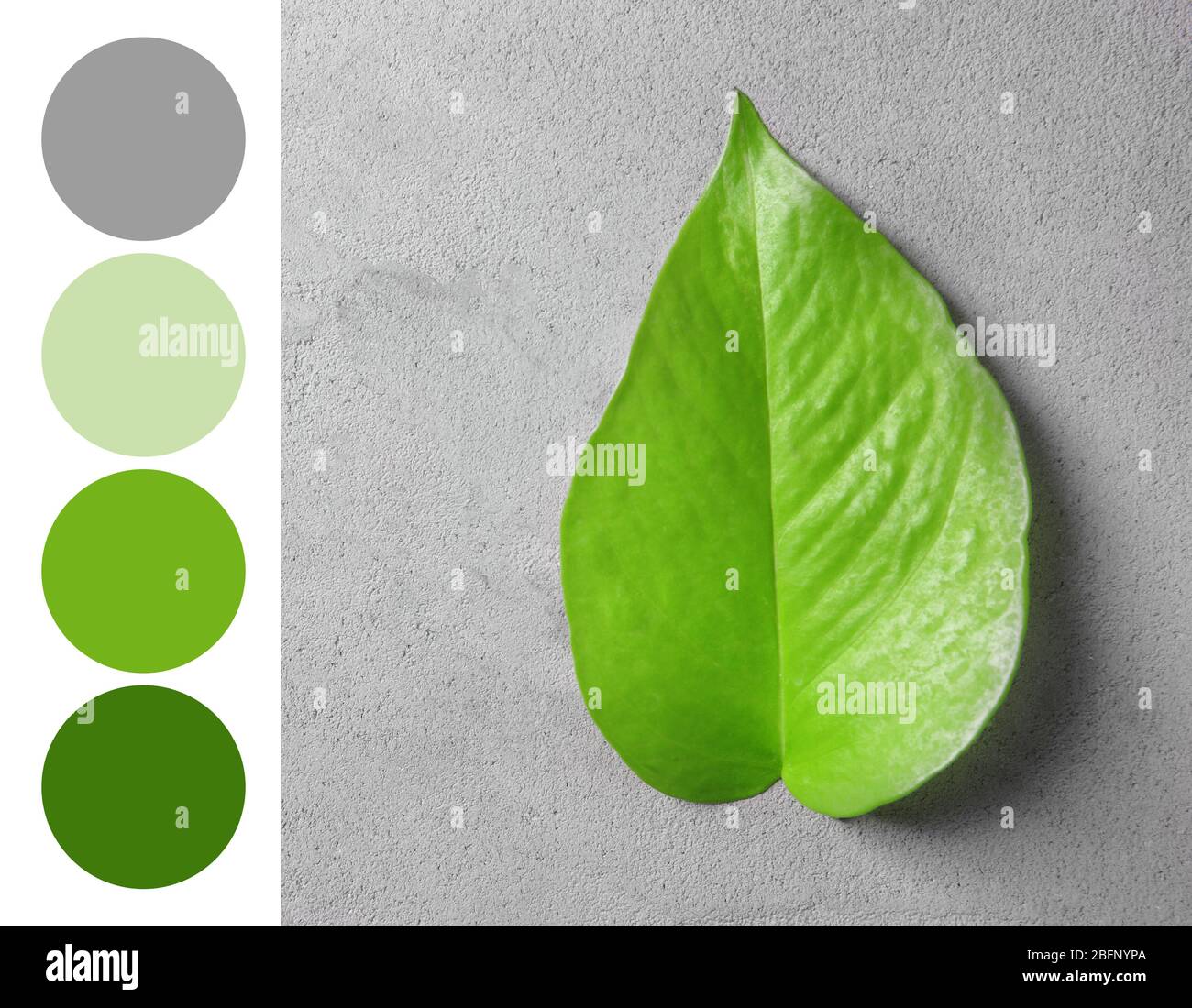 Palette with green color and leaf on grey background Stock Photo - Alamy