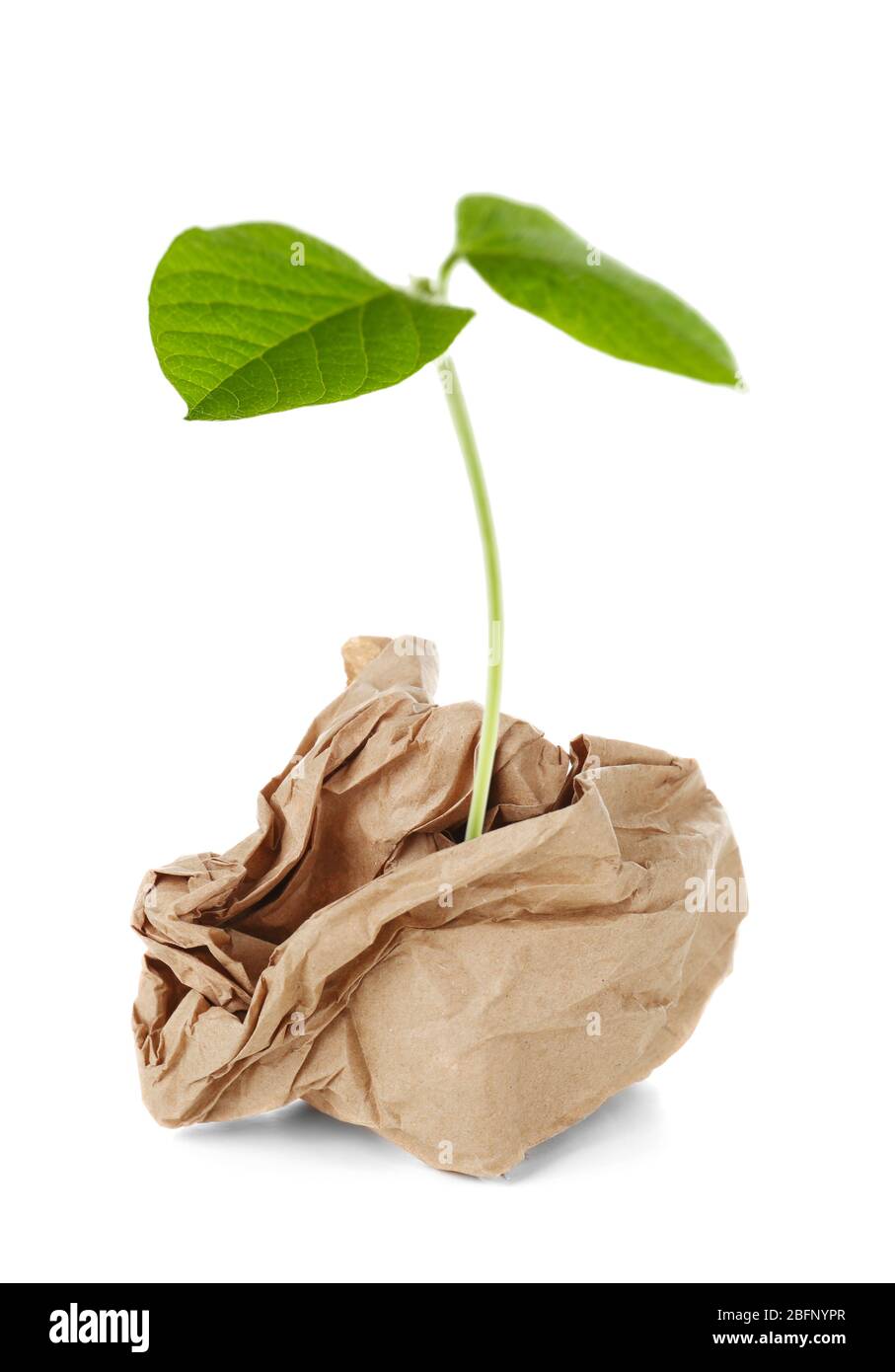 Plant growing out of crumpled paper on white background. Recycling ...