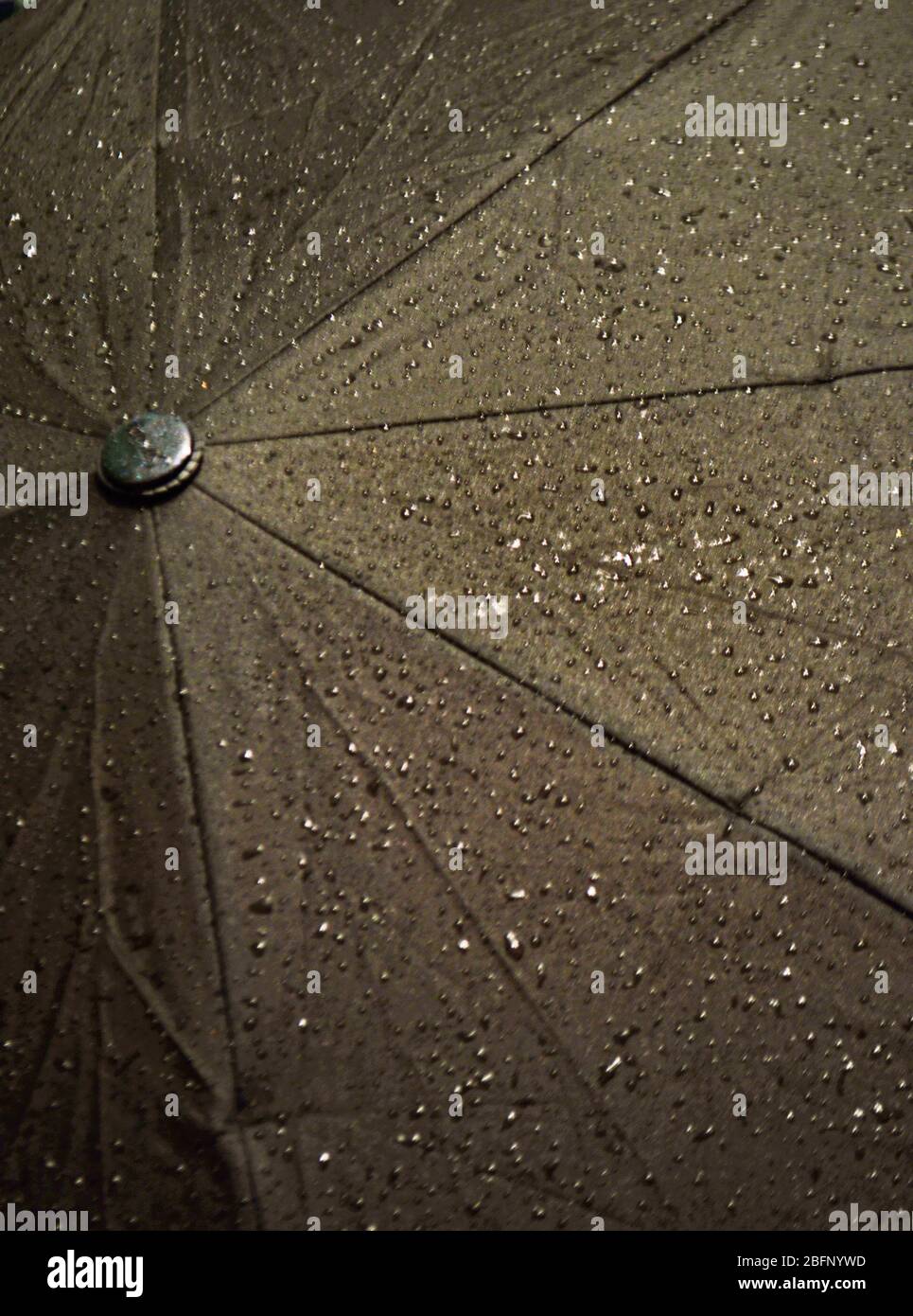 Umbrella water drop black hi-res stock photography and images - Alamy
