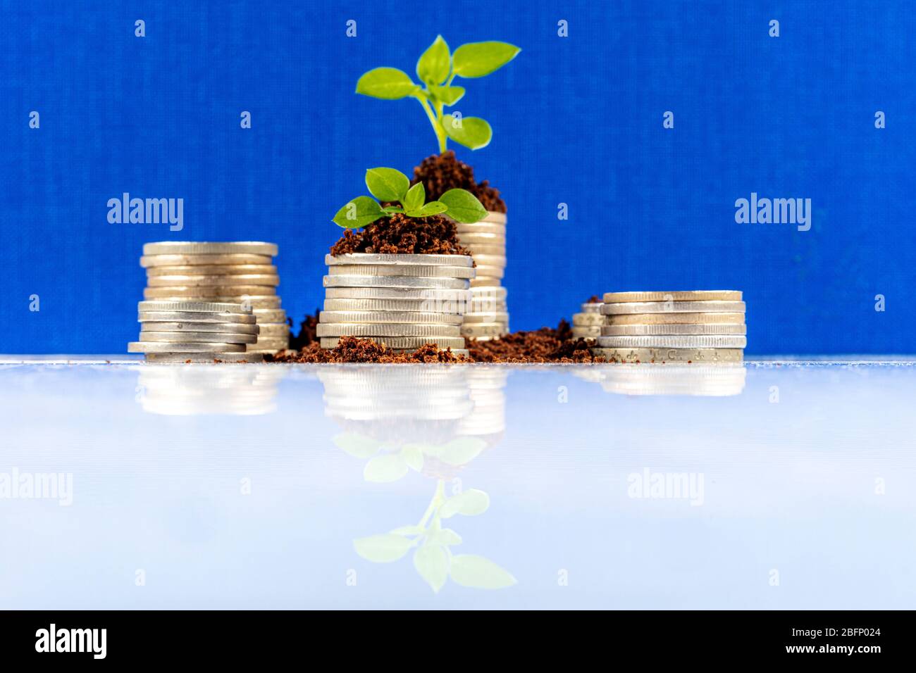 Money growing plant step with deposit coin in bank concept, Financial ...