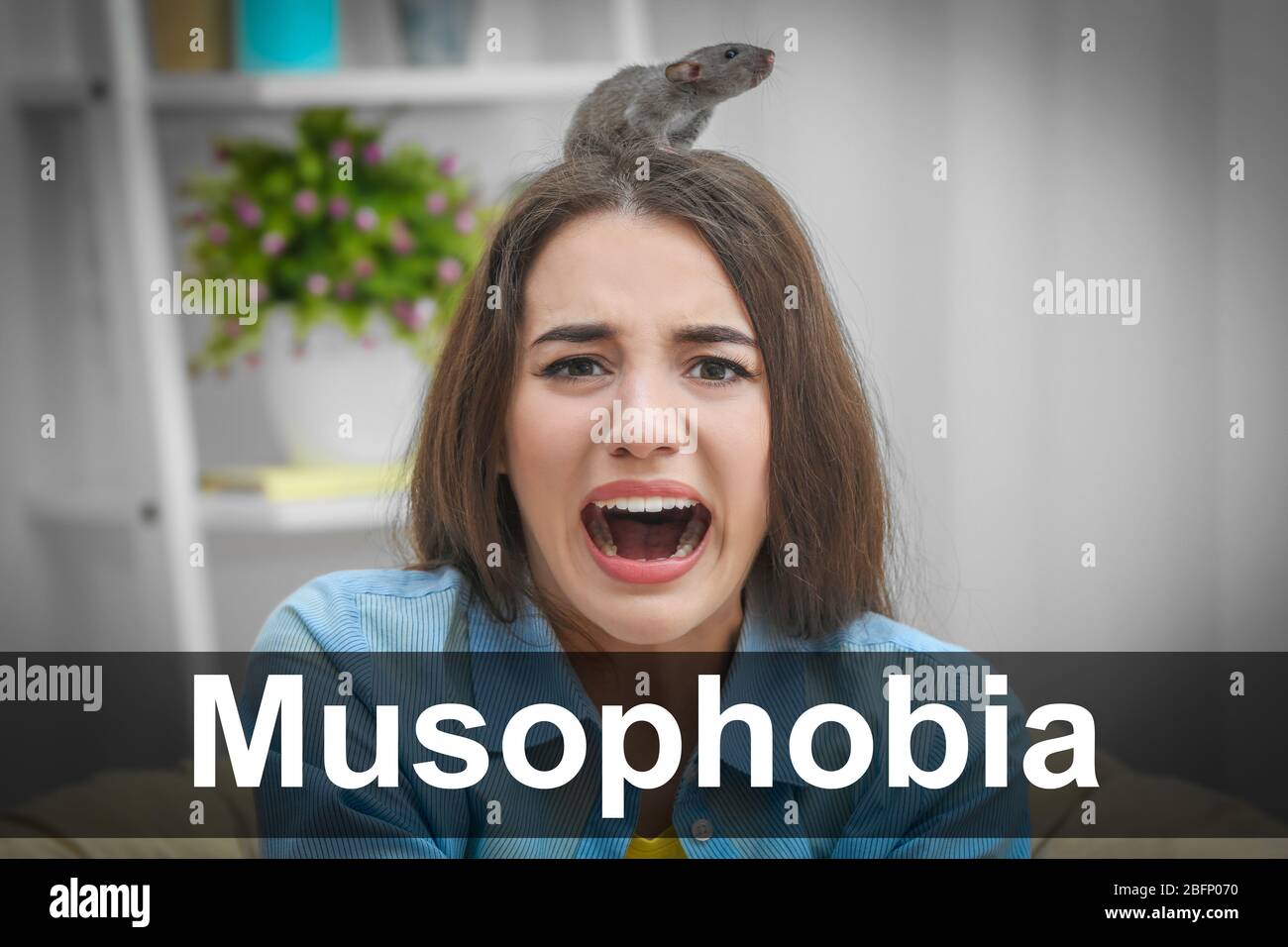 Terrified woman with mouse at home. Musophobia concept Stock Photo - Alamy