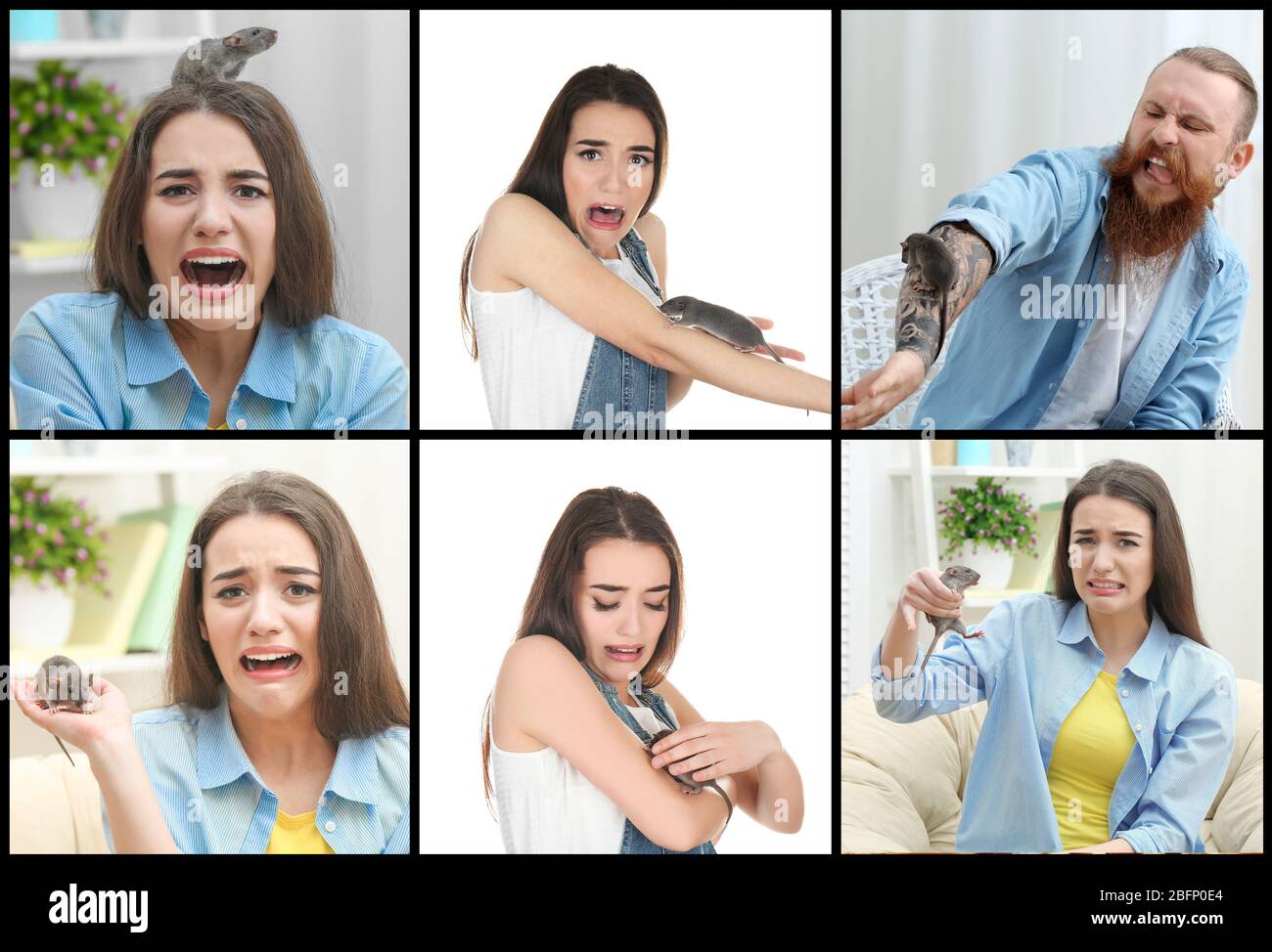 Set with terrified people and mice. Musophobia concept Stock Photo - Alamy