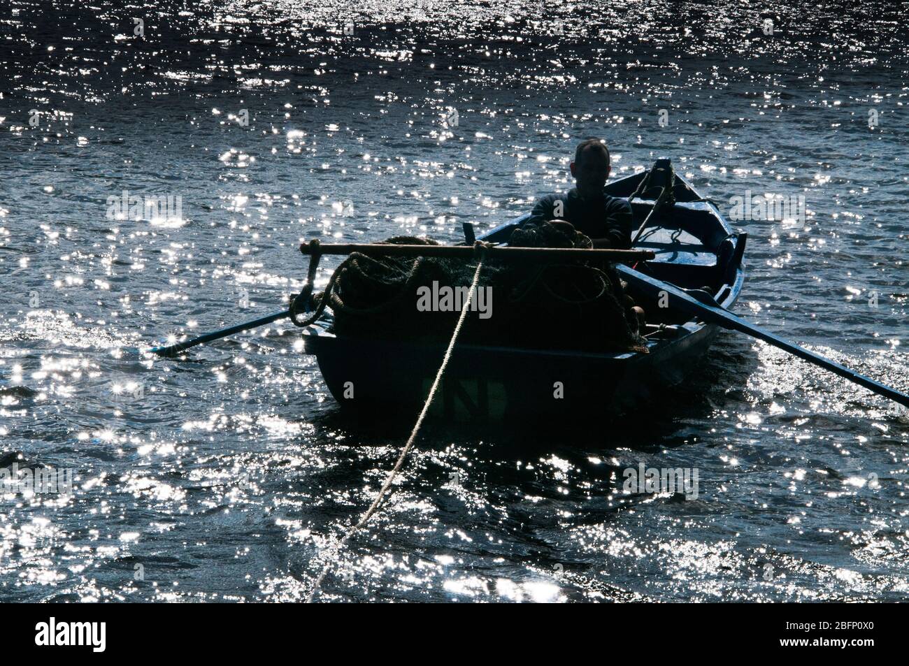 Salmon fishing at Paxton fishery at Paxton House Stock Photo - Alamy