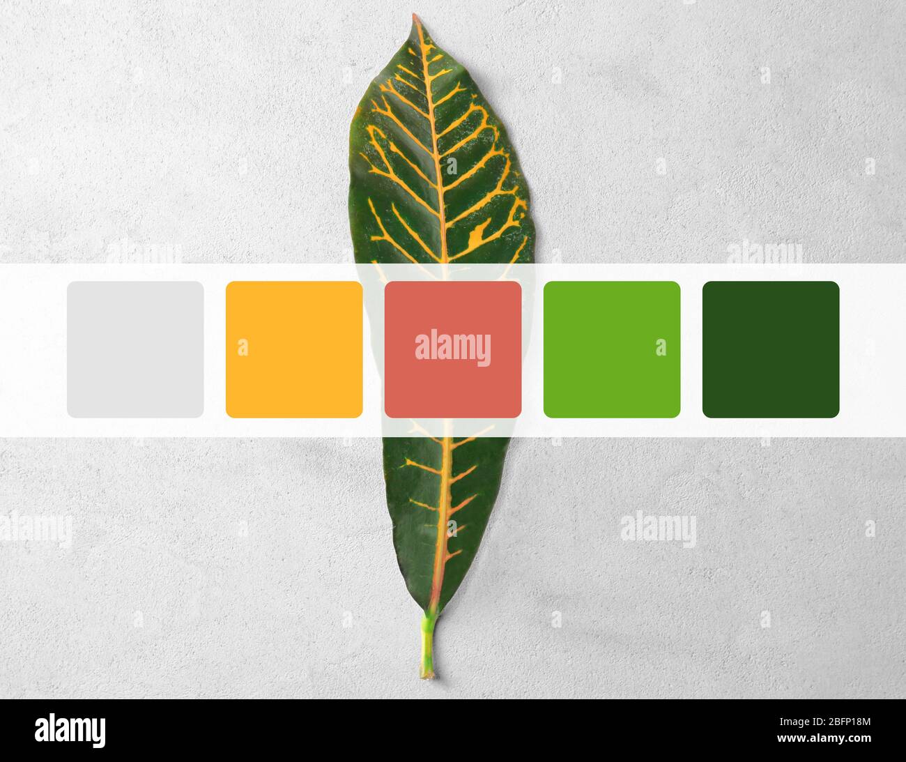 Palette with green color and leaf on grey background Stock Photo - Alamy