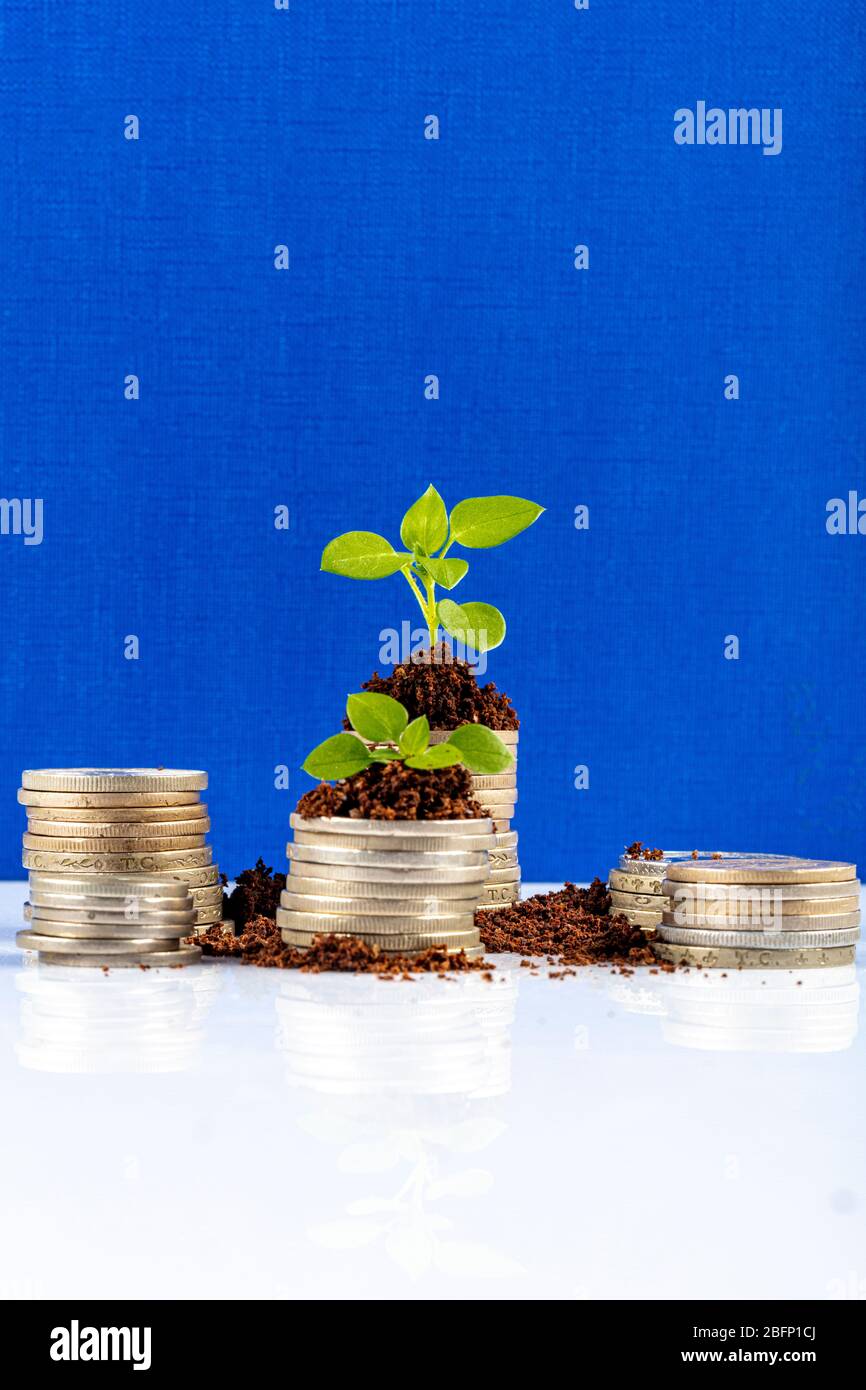 Money growing plant step with deposit coin in bank concept, Financial ...
