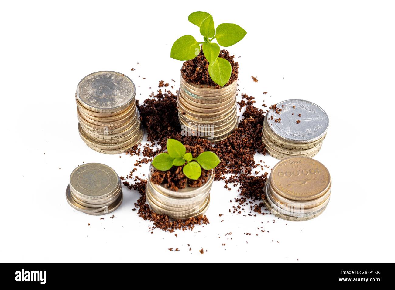 Money growing plant step with deposit coin in bank concept, Financial ...