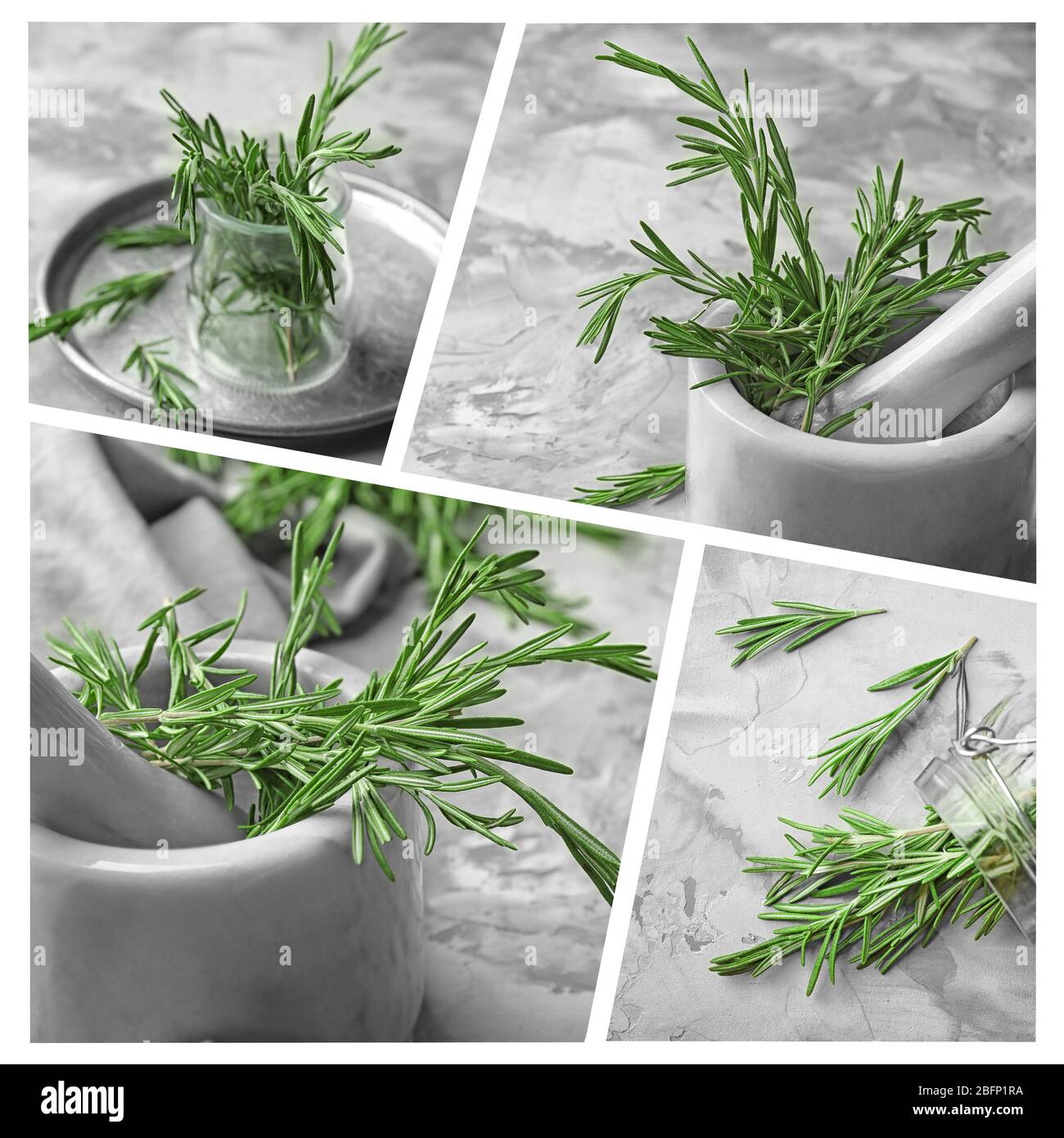 Set with fresh aromatic rosemary Stock Photo - Alamy