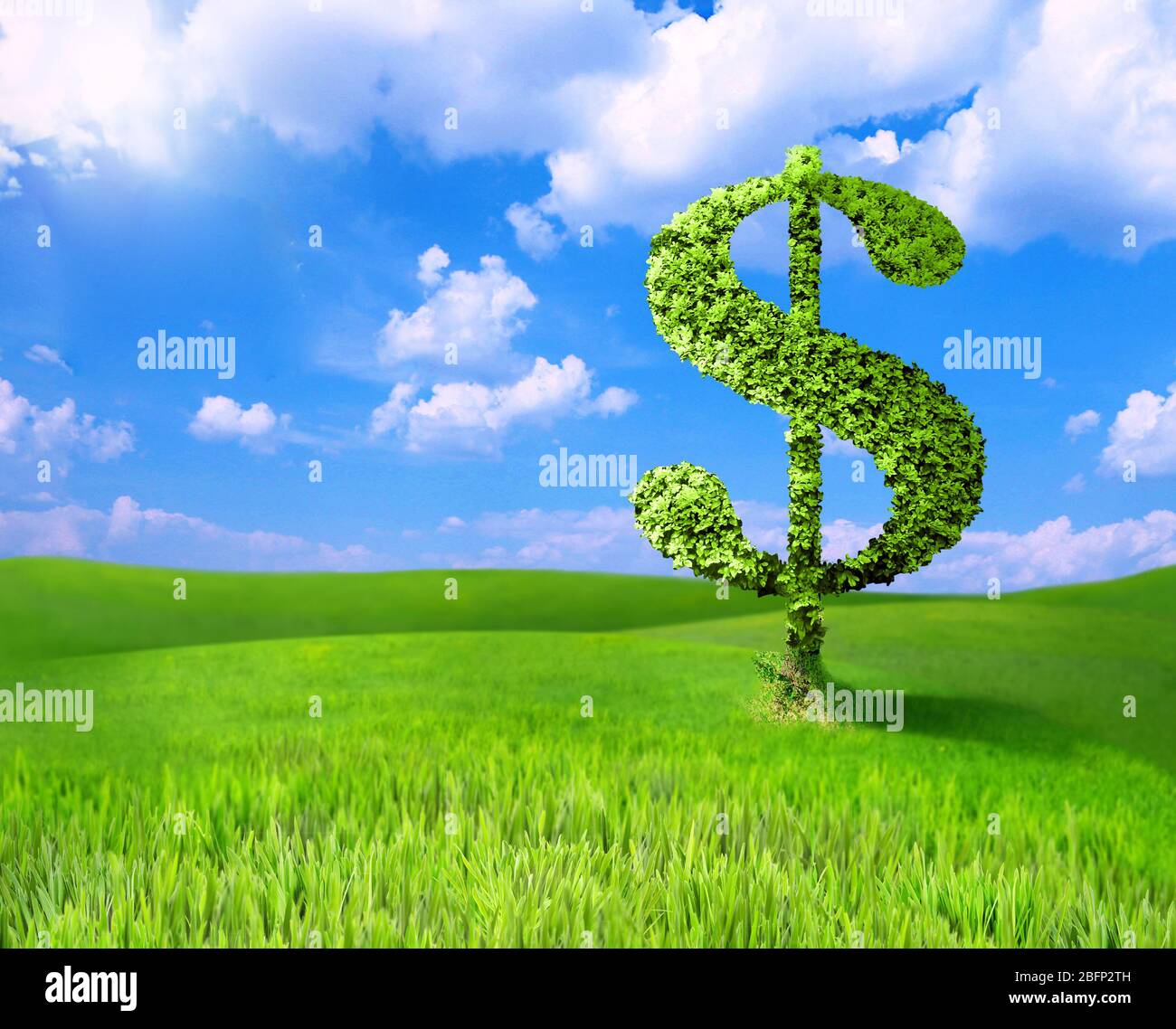 Dollar sign made of tree leaves on green spring field background Stock ...