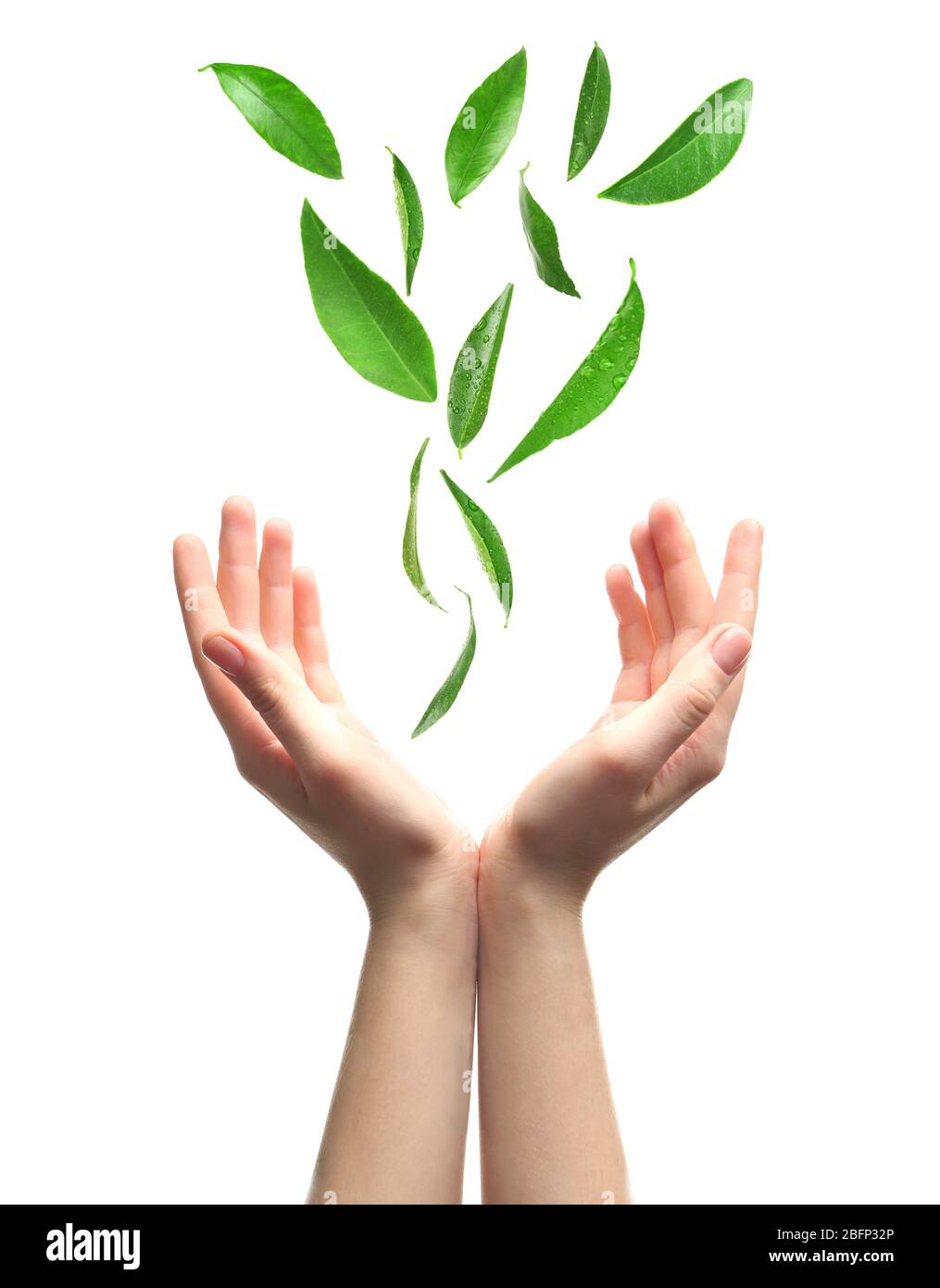 Tree human hands together Cut Out Stock Images & Pictures - Alamy