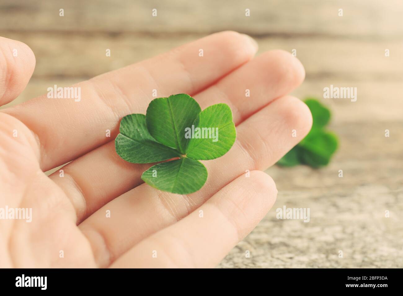 Hand holding clover hi-res stock photography and images - Alamy