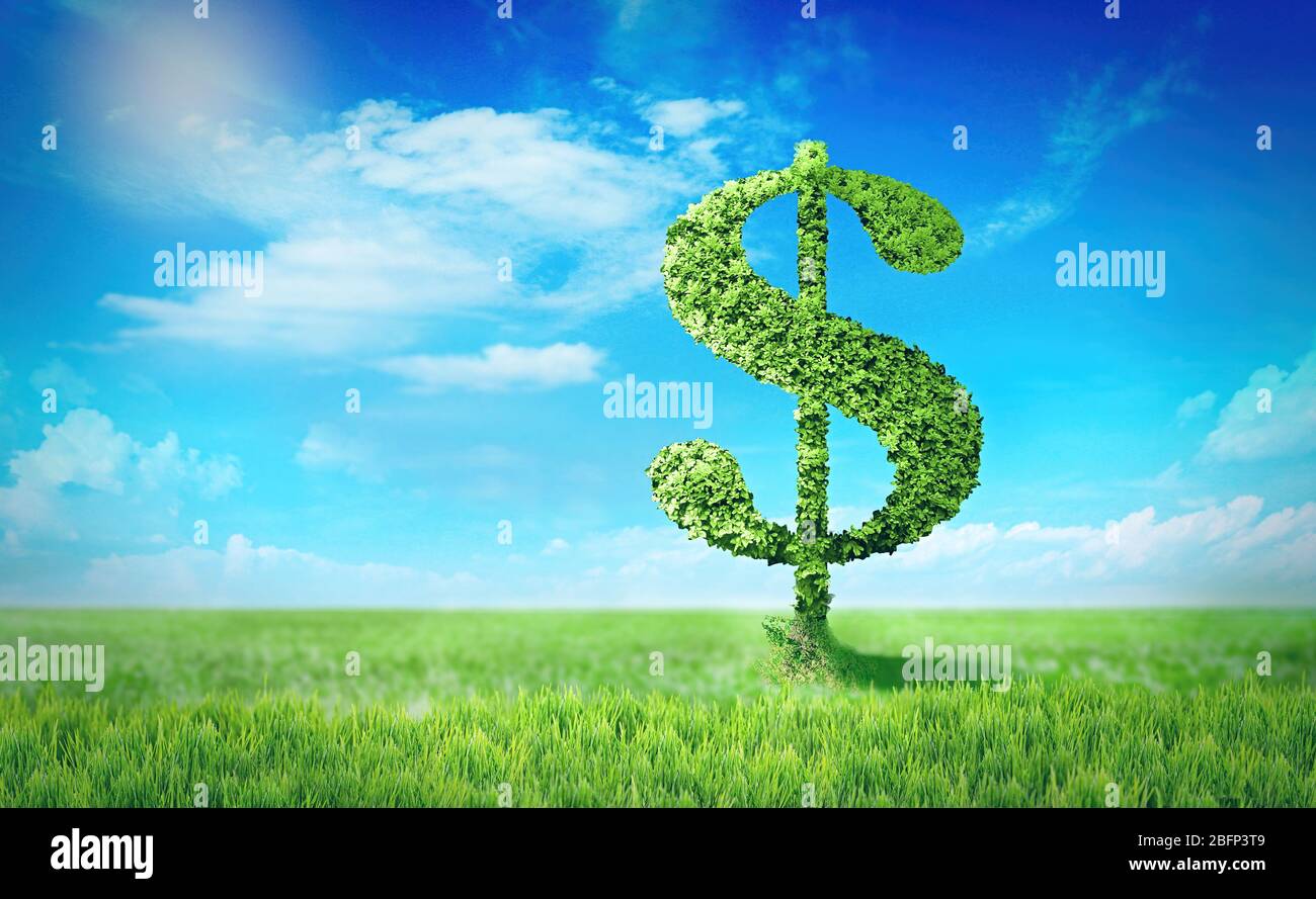 Dollar sign made of tree leaves on green spring field background Stock ...