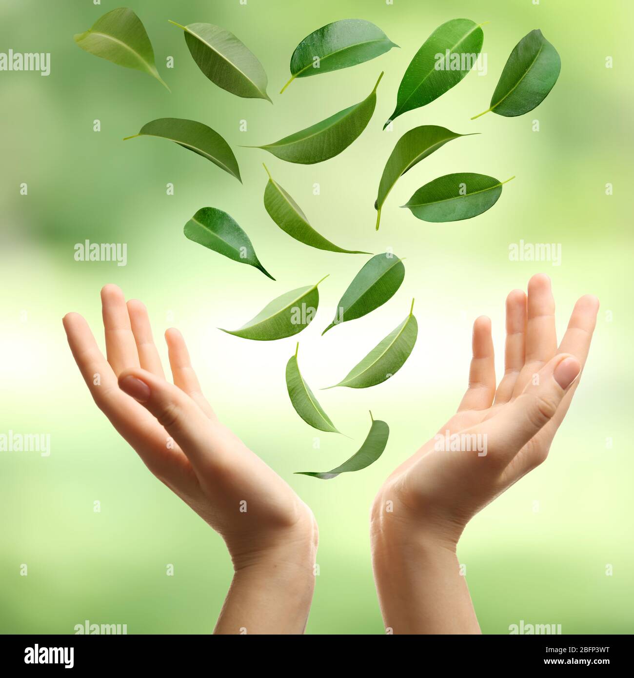 Green leaves falling into woman hands, on green nature background Stock ...