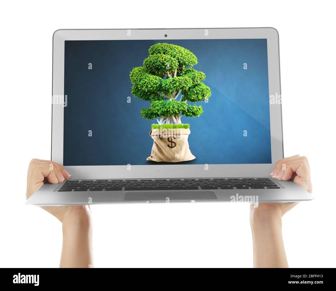 Green tree in bag with a dollar sign in screen of laptop isolated on ...